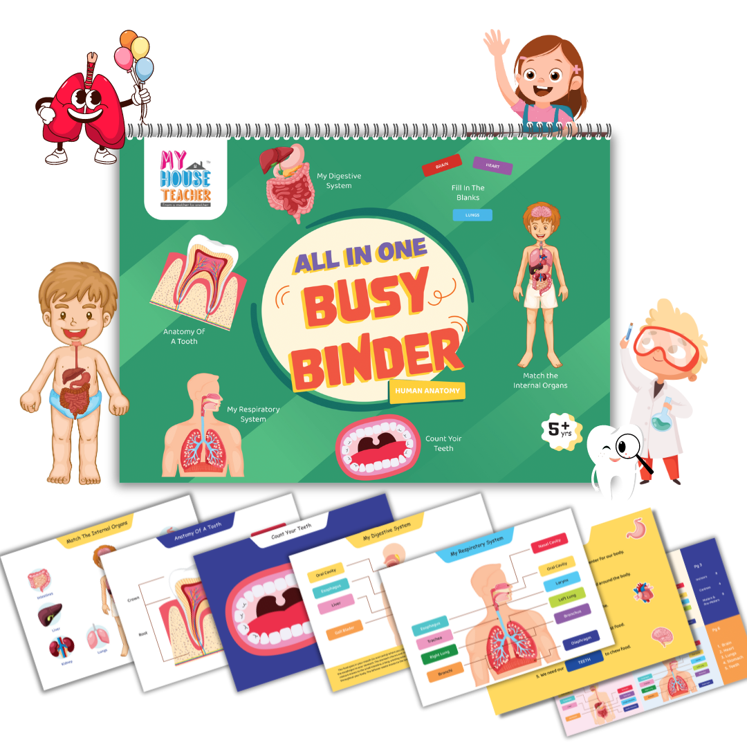 Human Body Interactive Binder Book for Kids above 6 years – My House ...