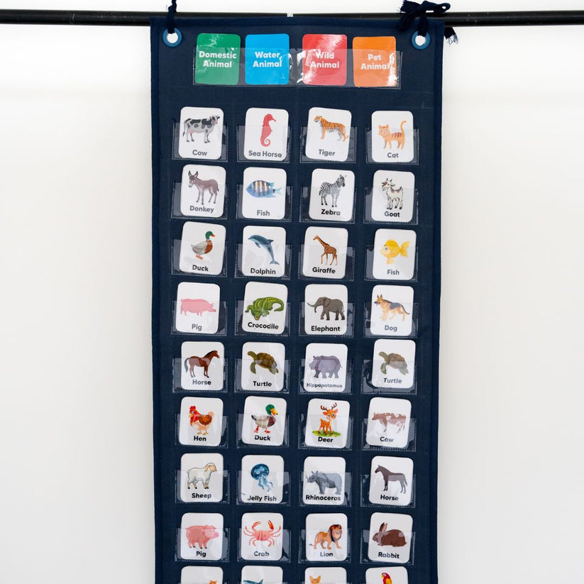 Domestic, Wild, Water and Pet Animal Sorting Pocket Chart – My House ...
